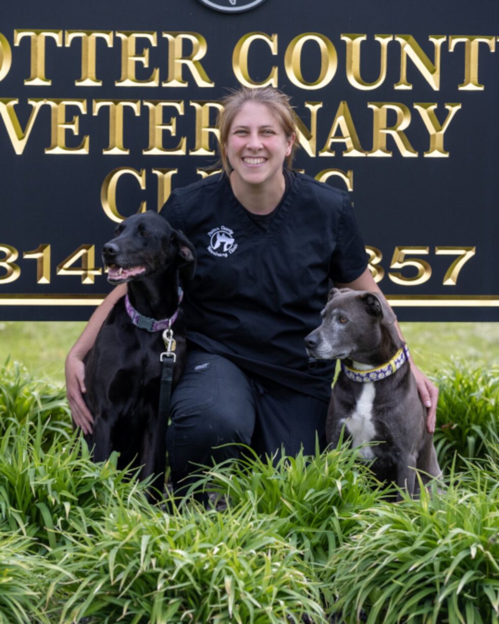 Best Vet Clinic In Coudersport PA | Potter County Vet Clinic