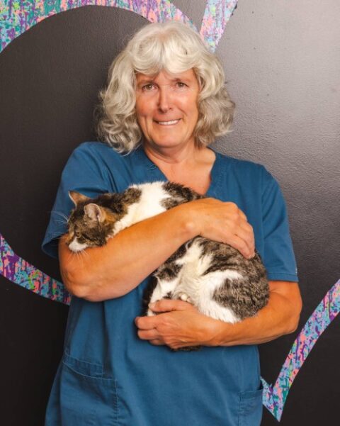 Best Vet Clinic In Coudersport PA | Potter County Vet Clinic